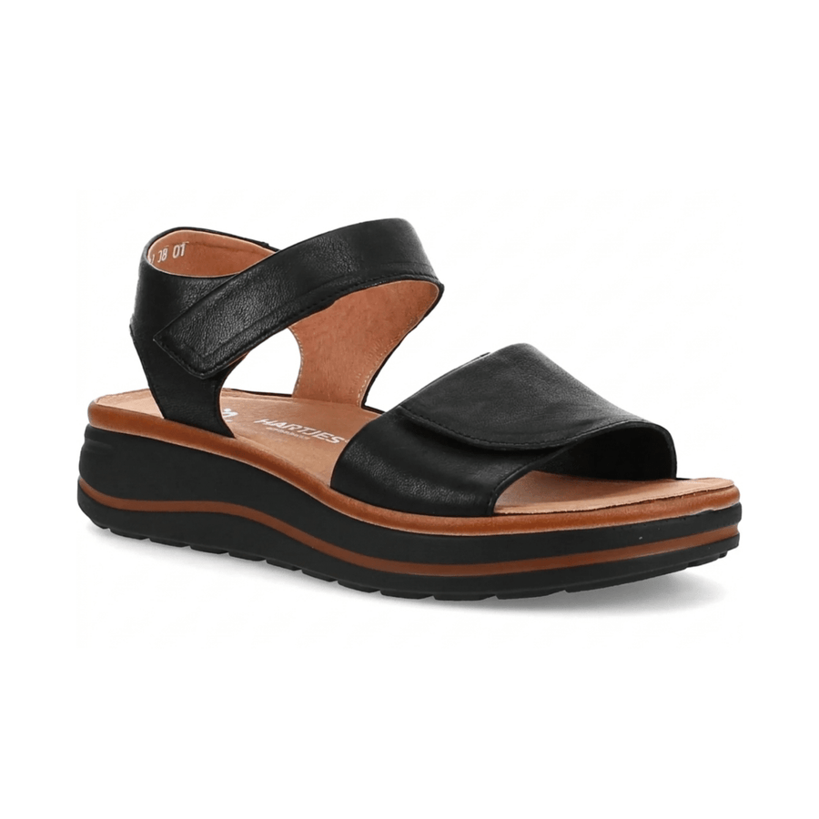 Hartjes Women - Tip Top Shoes of New York